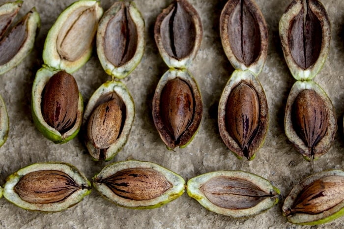 Bilgisayar Mühendisinin Pikan Bahçesi - Tarım ve Hayvancılık - Ekonomist